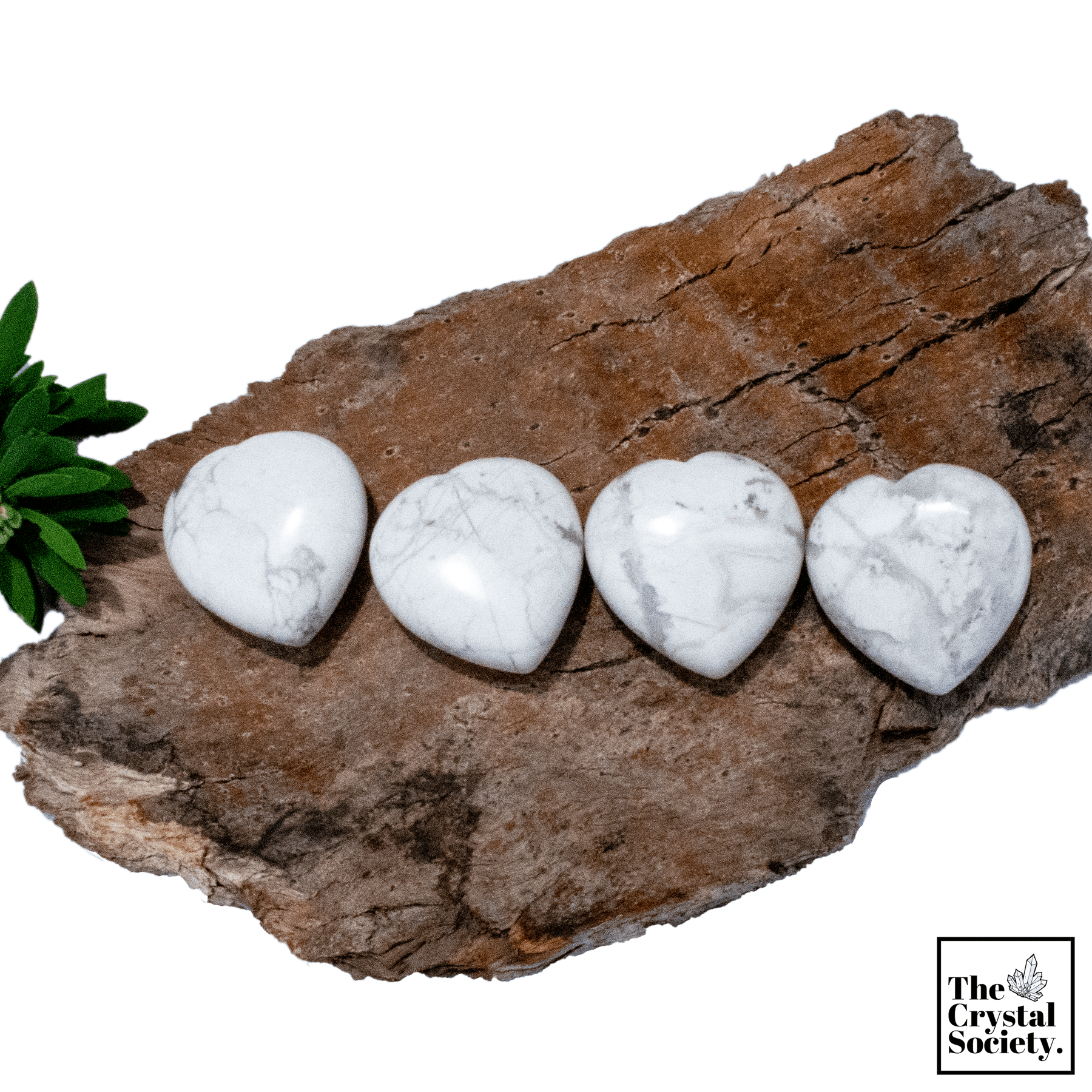 Howlite Crystals | Buy Online | The Crystal Society – The Crystal ...