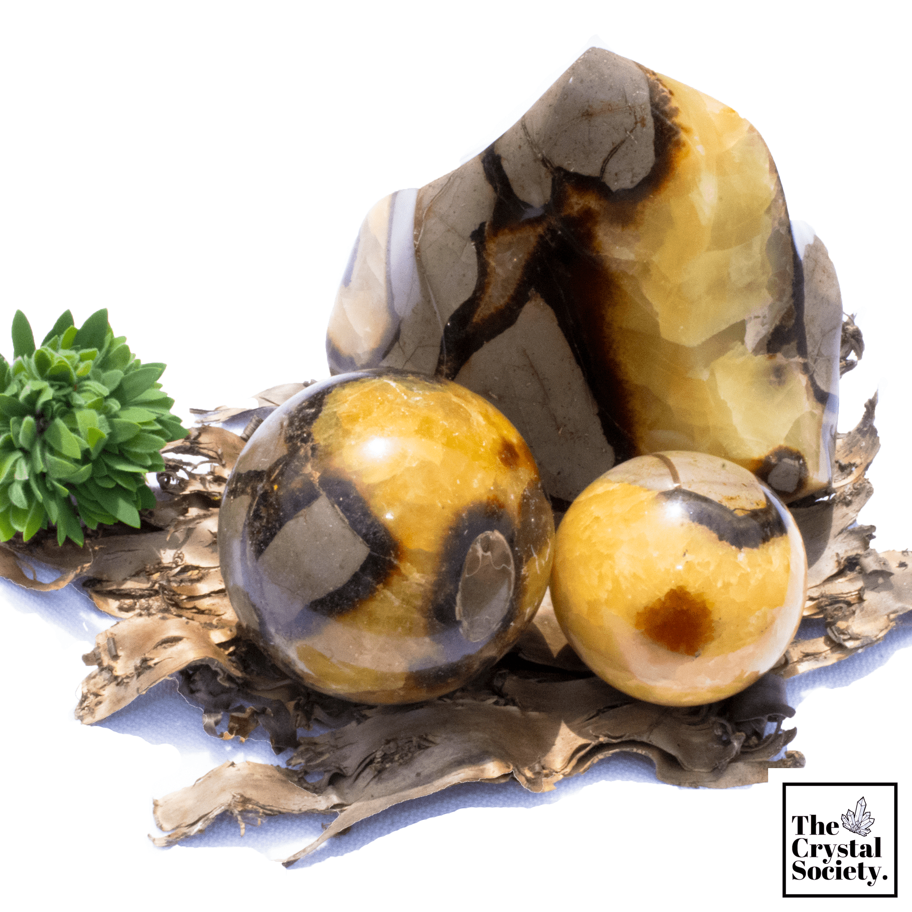 Septarian Gemstone | Buy Online | The Crystal Society – The Crystal ...