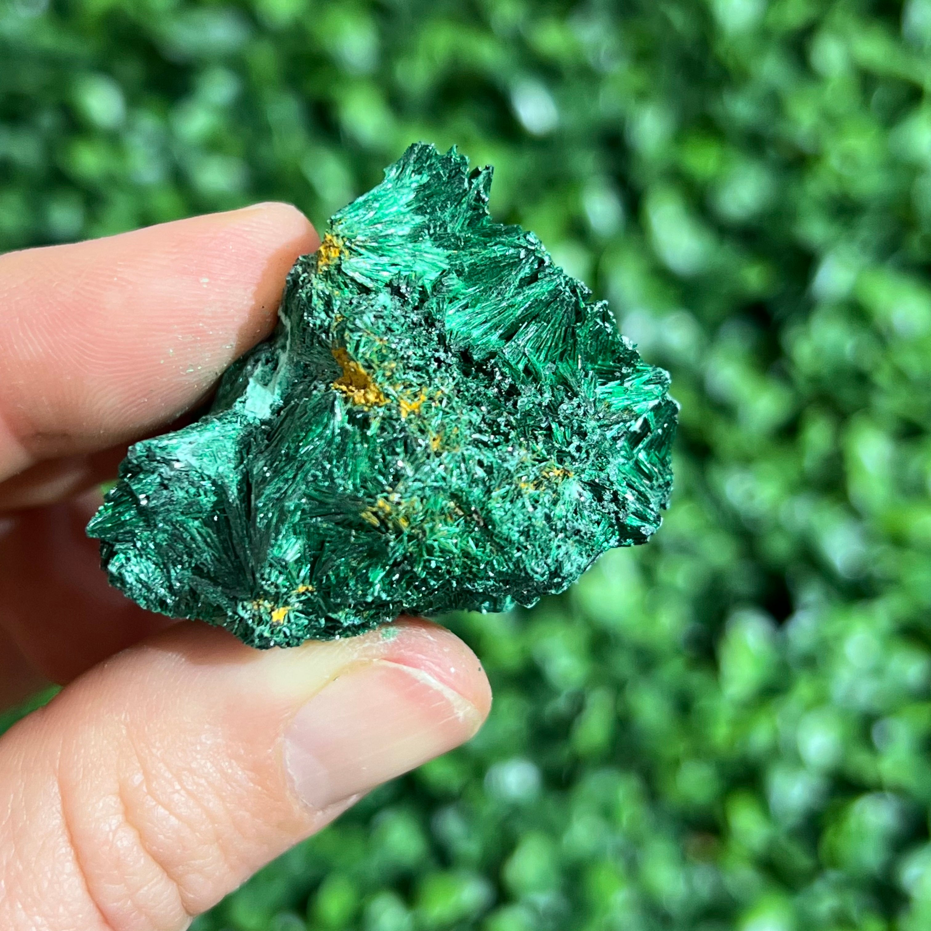 Fibrous Malachite Specimen – The Crystal Society Pty Ltd